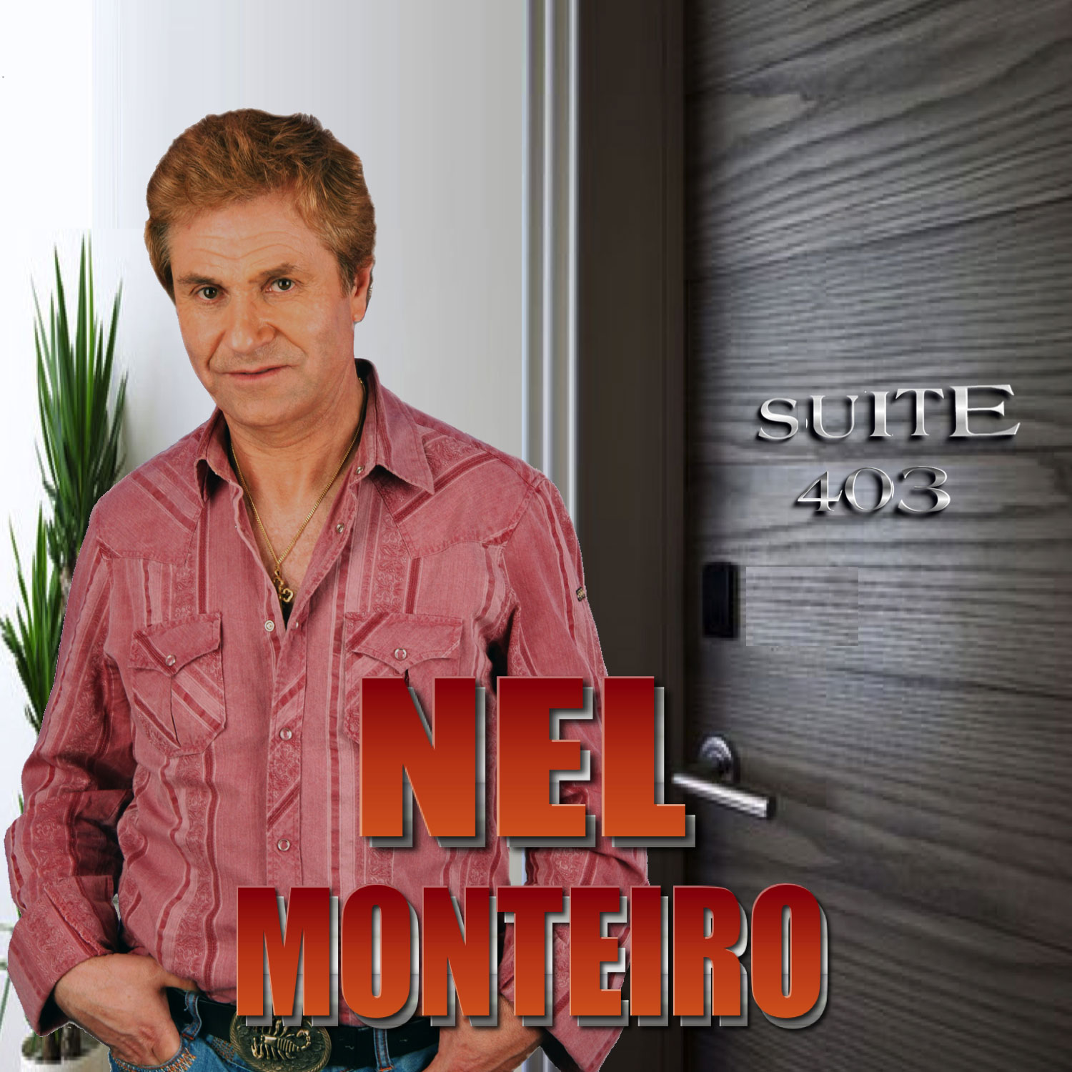 Nel Monteiro, Contactos, Artistas, Artista Nel Monteiro, Espetáculo
